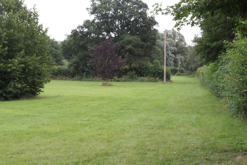 About – Warren Oak